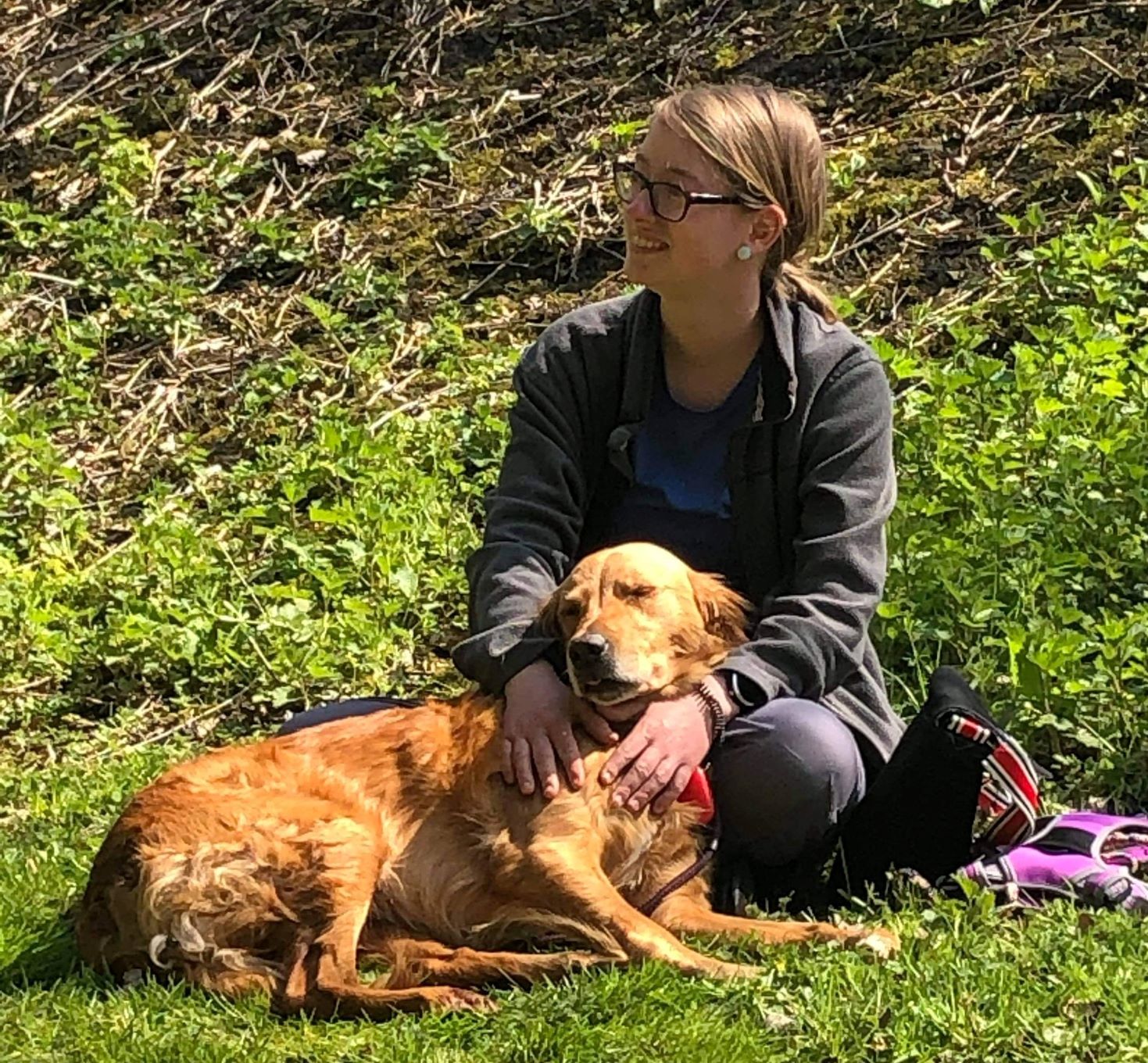 About Dogwise Dog Training, Tina & The Team » Dogwise Training School